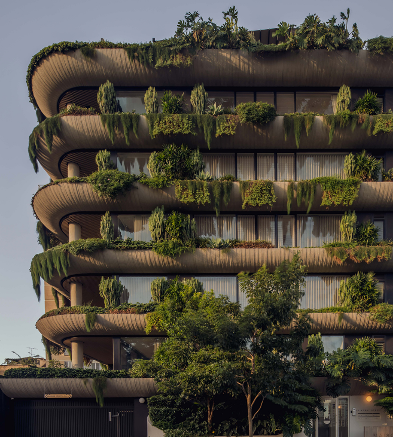 GRAYA™ Design + Construct