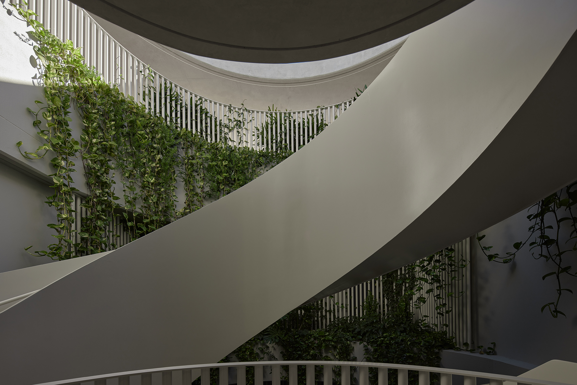 GRAYA™ Design + Construct