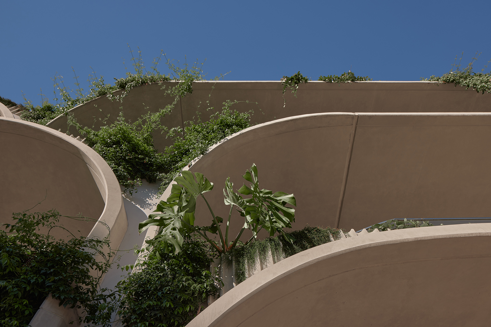 GRAYA™ Design + Construct