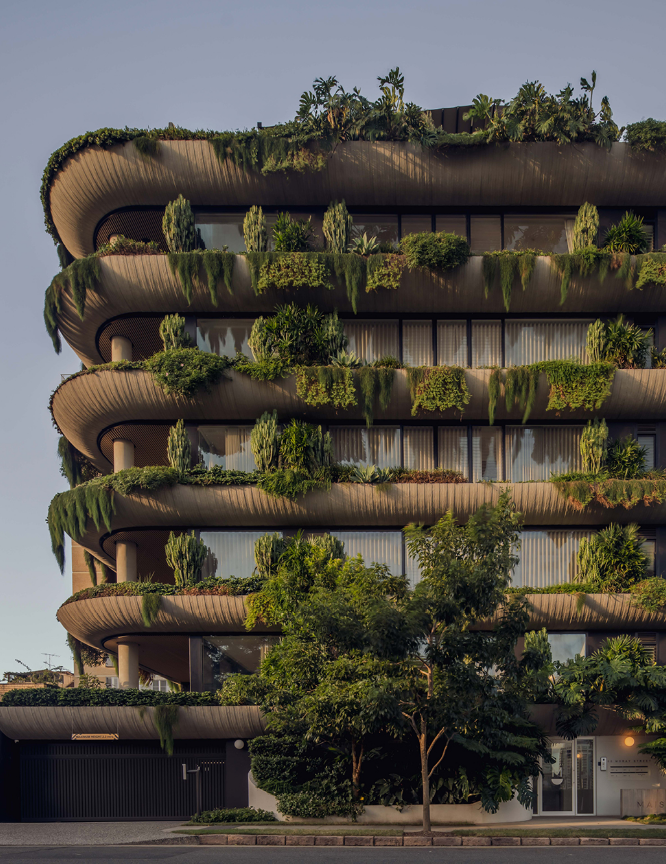 GRAYA™ Design + Construct